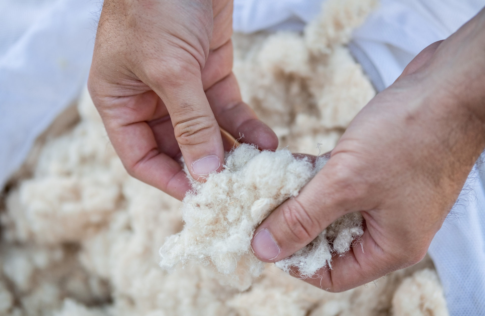 Bastcore – HEMP PROCESSING INNOVATIONS